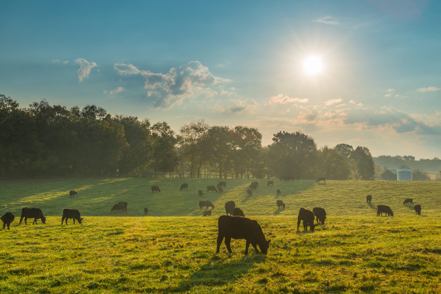 About Us - Heritage Animal Health